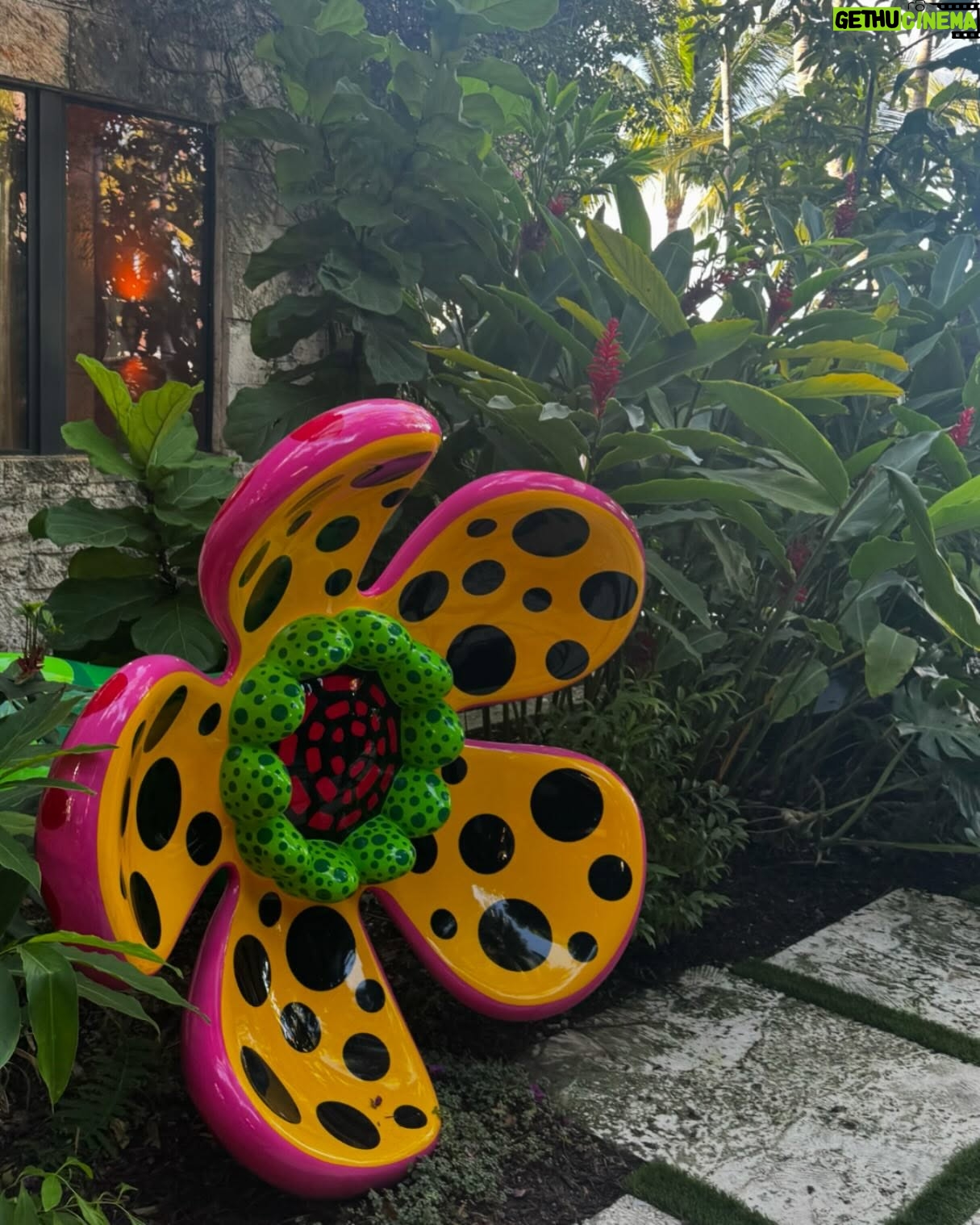 Liz Cambage | Gethu Cinema