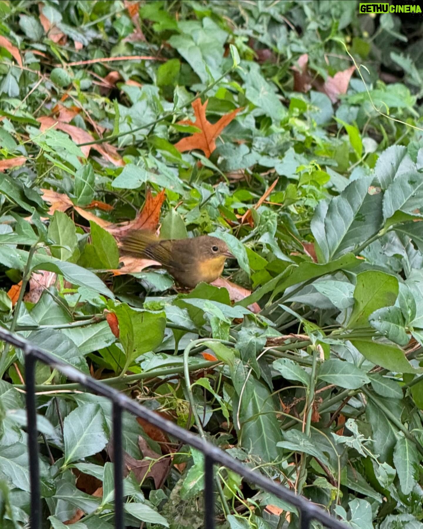 Actress Park Jin-joo HD Photos and Wallpapers December 2024 | Gethu Cinema