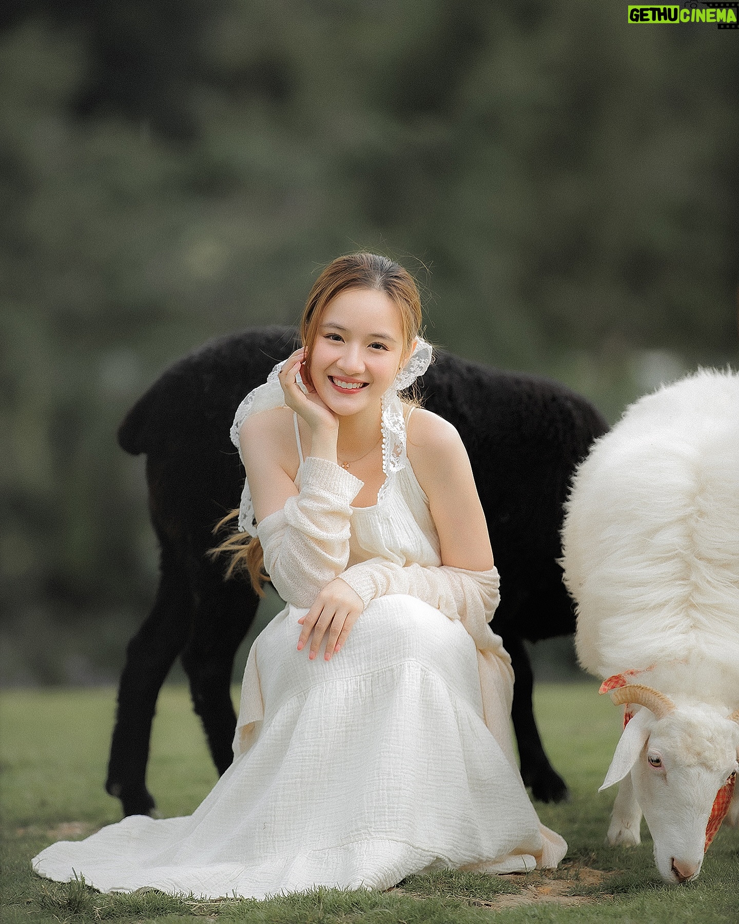 Actress Phatchatorn Thanawat HD Photos and Wallpapers October 2024 | Gethu Cinema