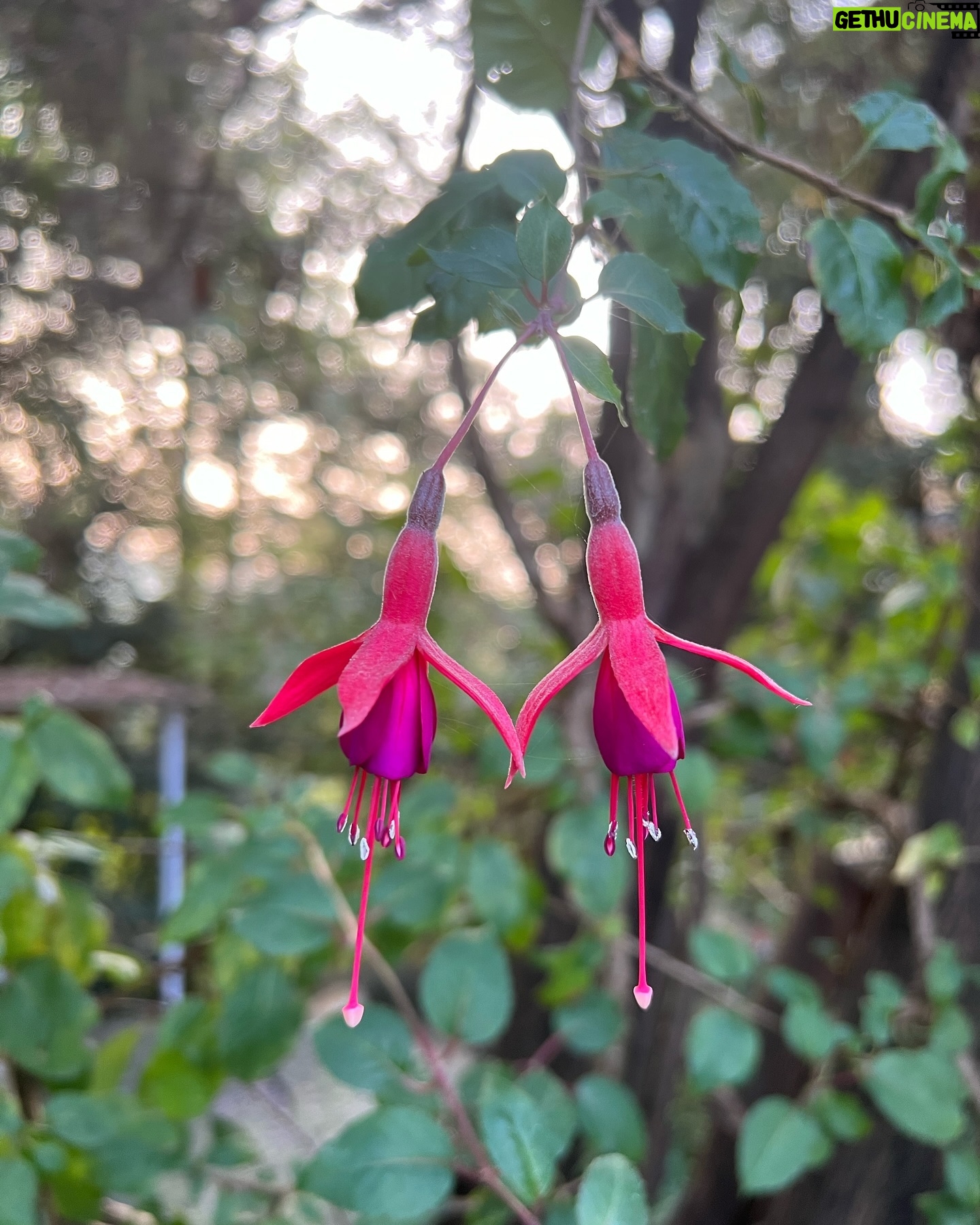 Actress Punarnavi Bhupalam HD Photos and Wallpapers November 2024 ...