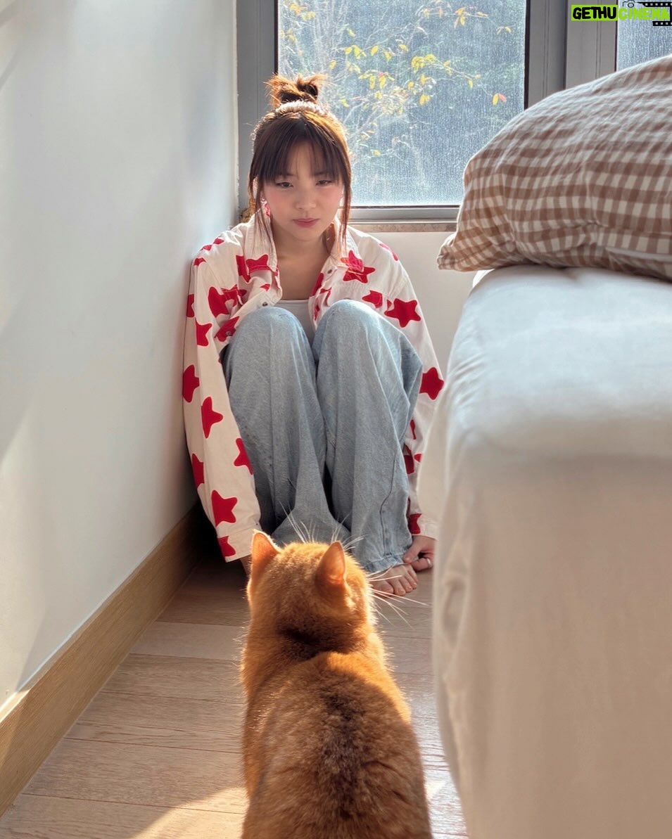 Actress Sabrina Ng HD Photos and Wallpapers December 2024 | Gethu Cinema