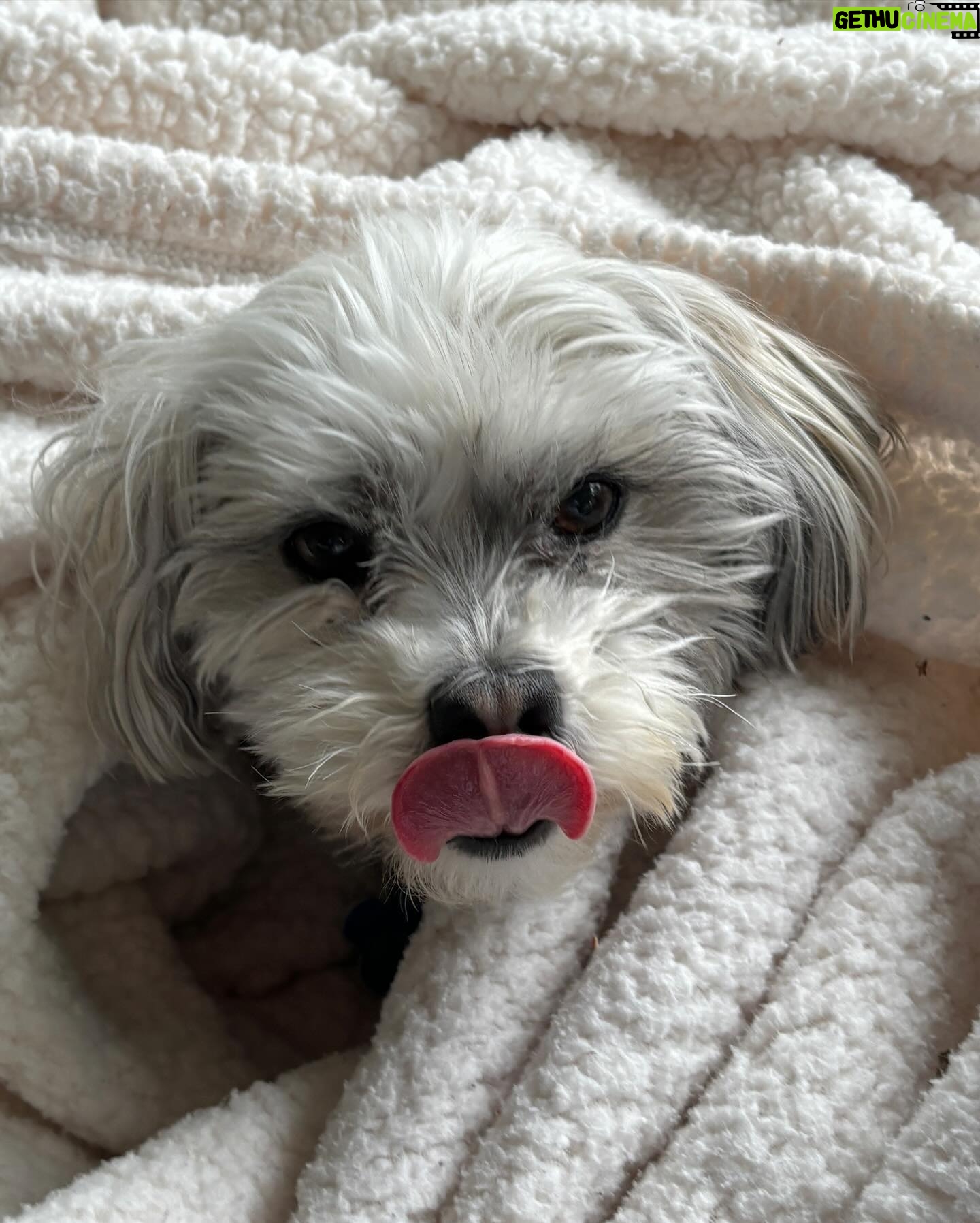 Salish Matter | Gethu Cinema