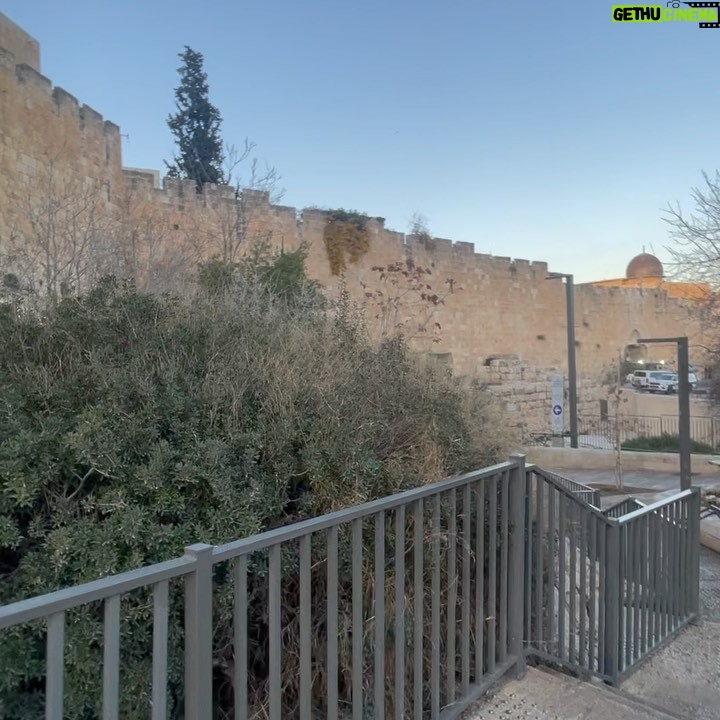 Sarah Mintz | Gethu Cinema