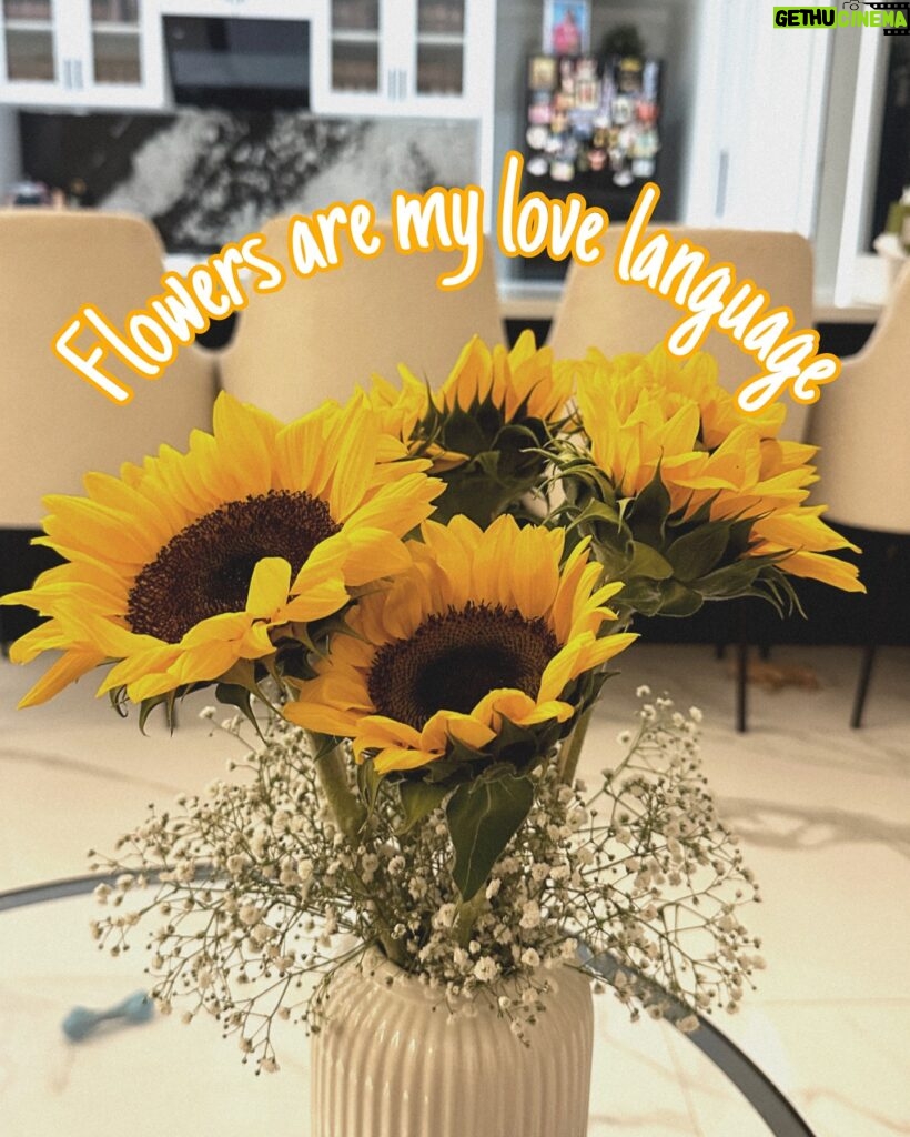 Actress Sarah Sarosh HD Photos and Wallpapers January 2025 | Gethu Cinema