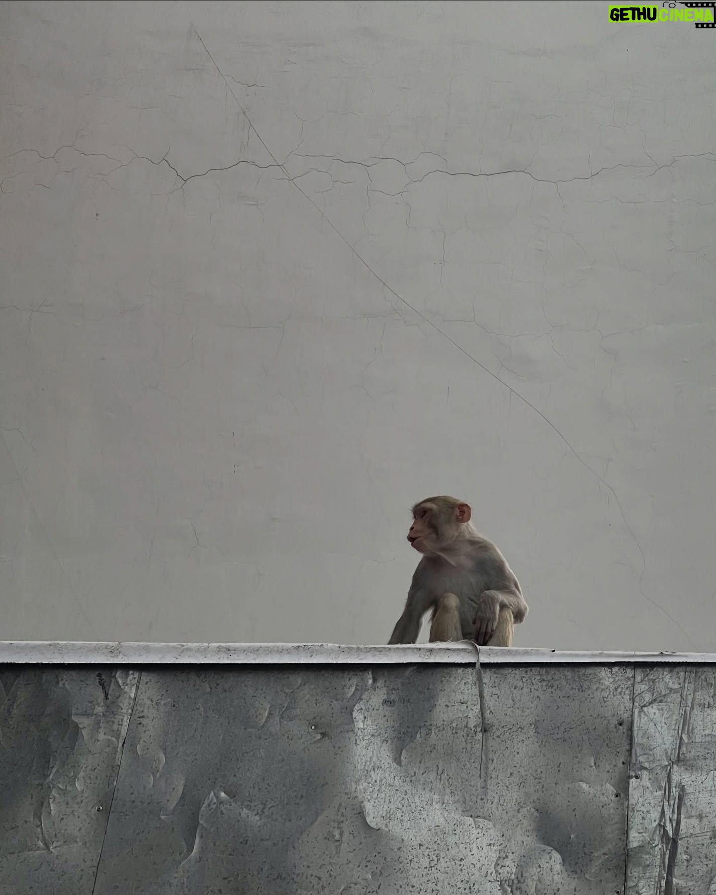 Actress Shilpa Rao HD Photos and Wallpapers January 2025 | Gethu Cinema