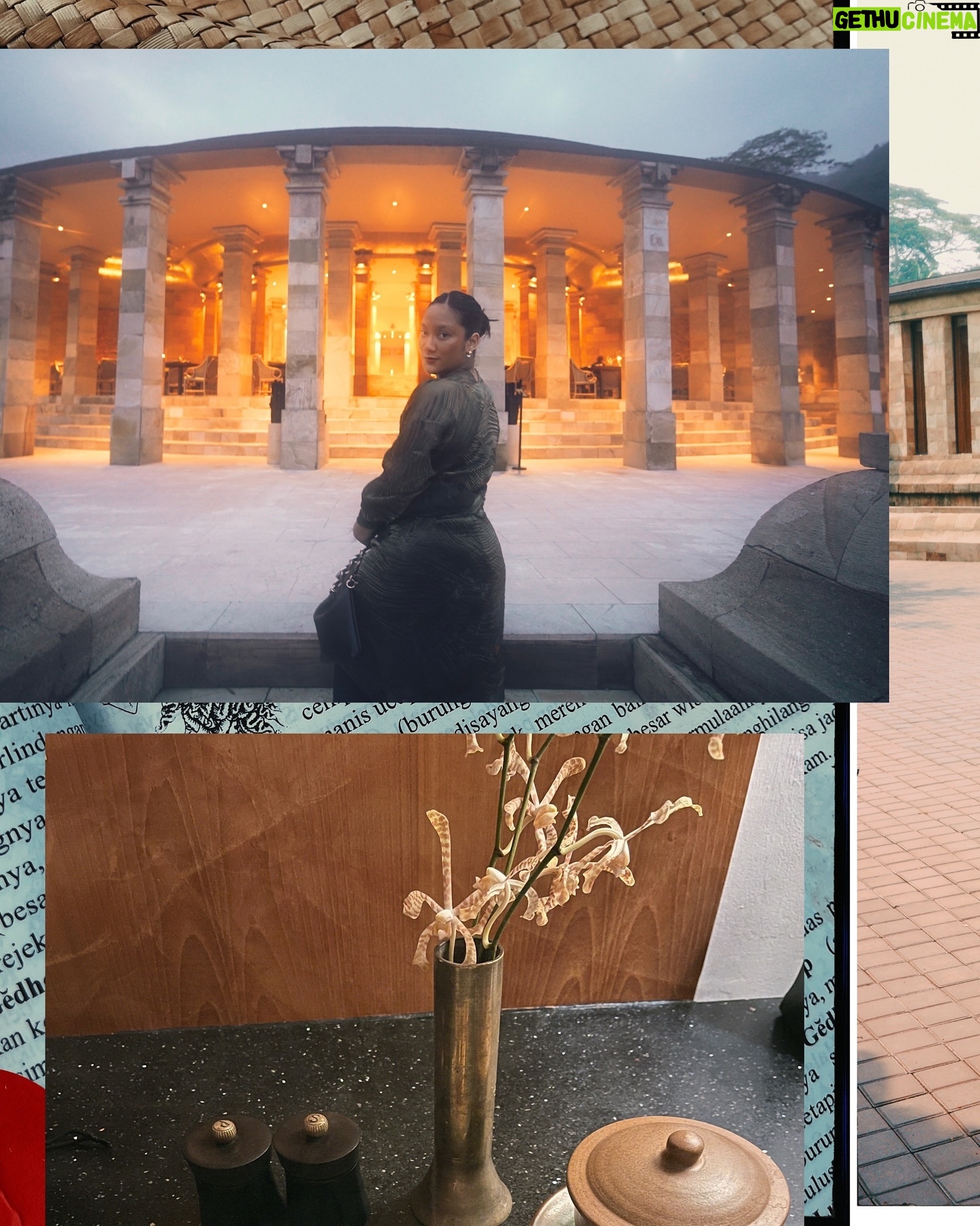 Tara Basro | Gethu Cinema