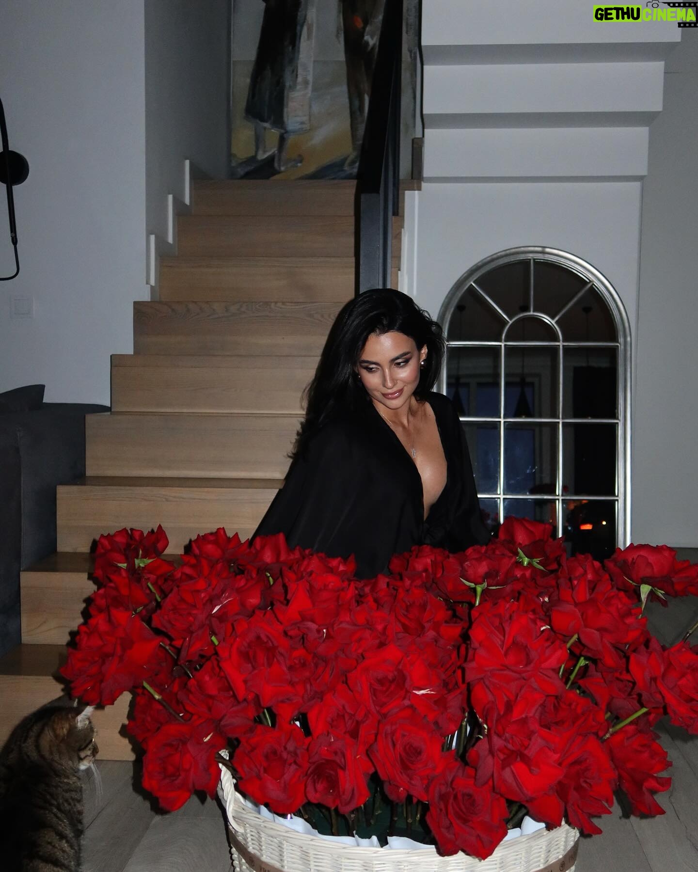 Actress Anna Trincher HD Photos and Wallpapers February 2025 | Gethu Cinema