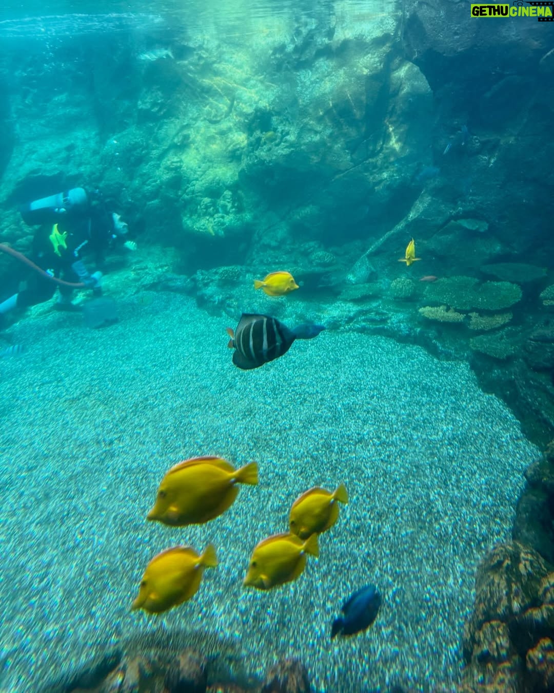 Actress Carlacia Grant HD Photos and Wallpapers February 2025 | Gethu Cinema