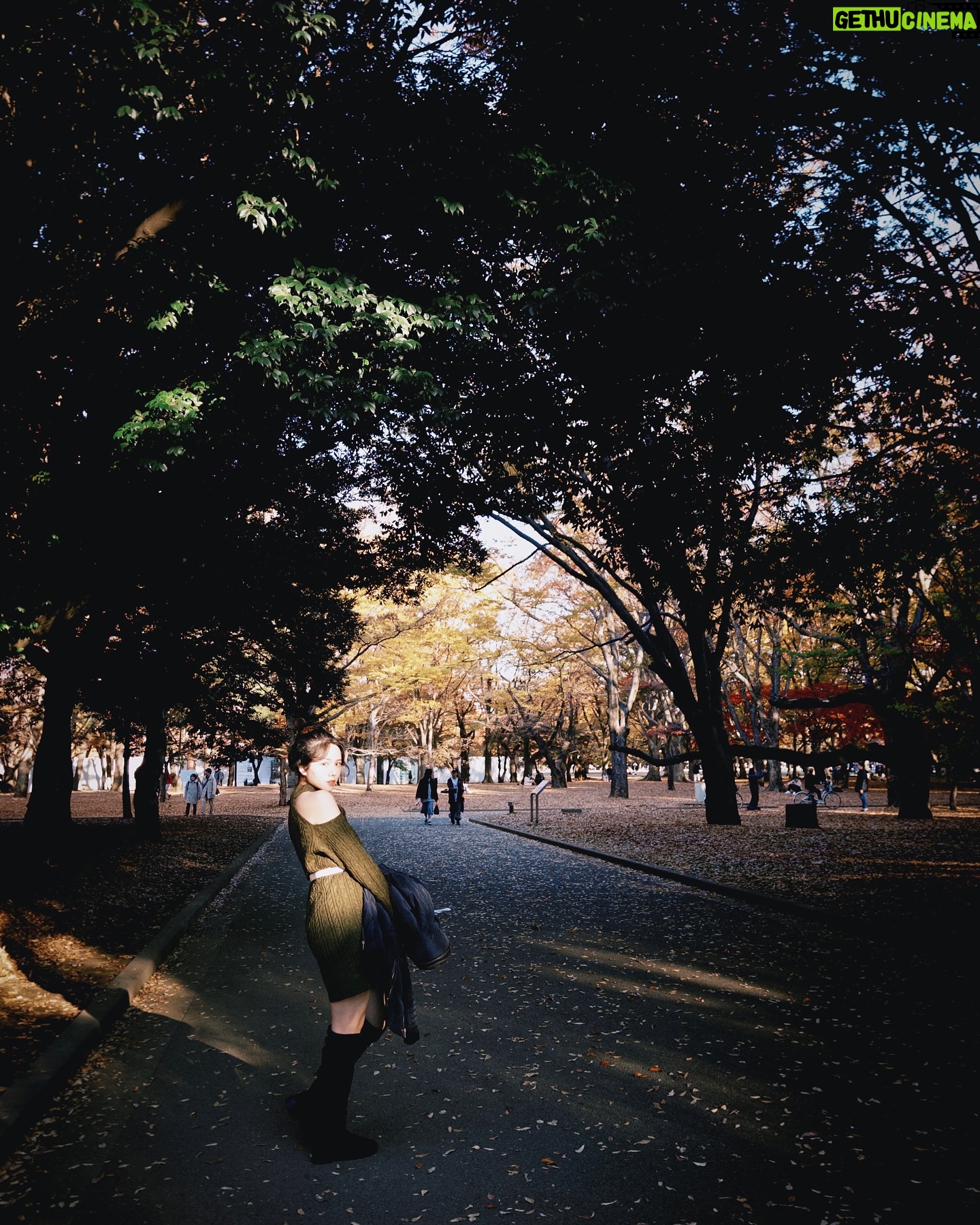 Hami Chiang | Gethu Cinema