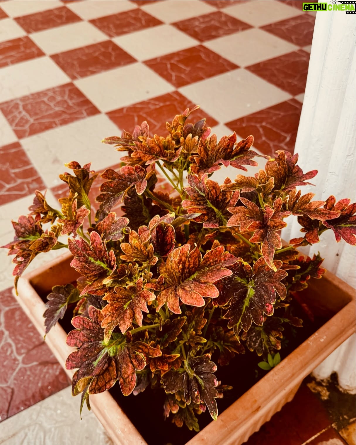 Actress Janani Ashok Kumar HD Photos and Wallpapers February 2025 ...