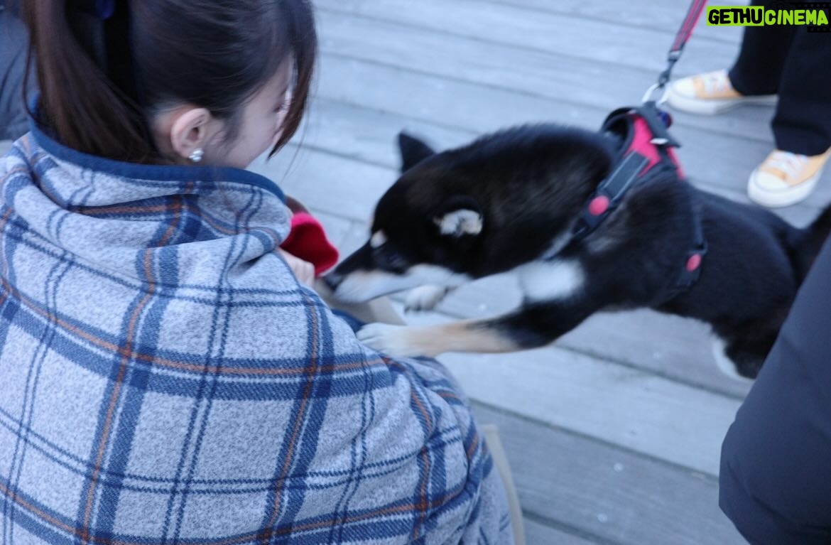 Mayu Miyamoto | Gethu Cinema