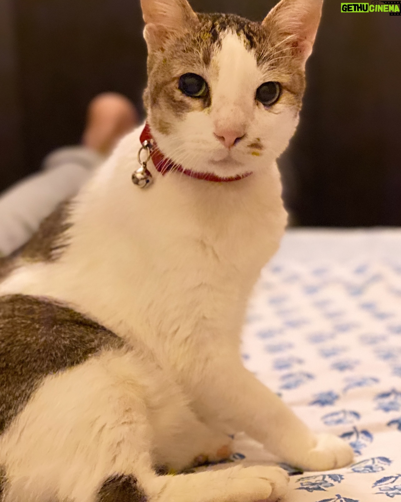 Mrunal Thakur | Gethu Cinema