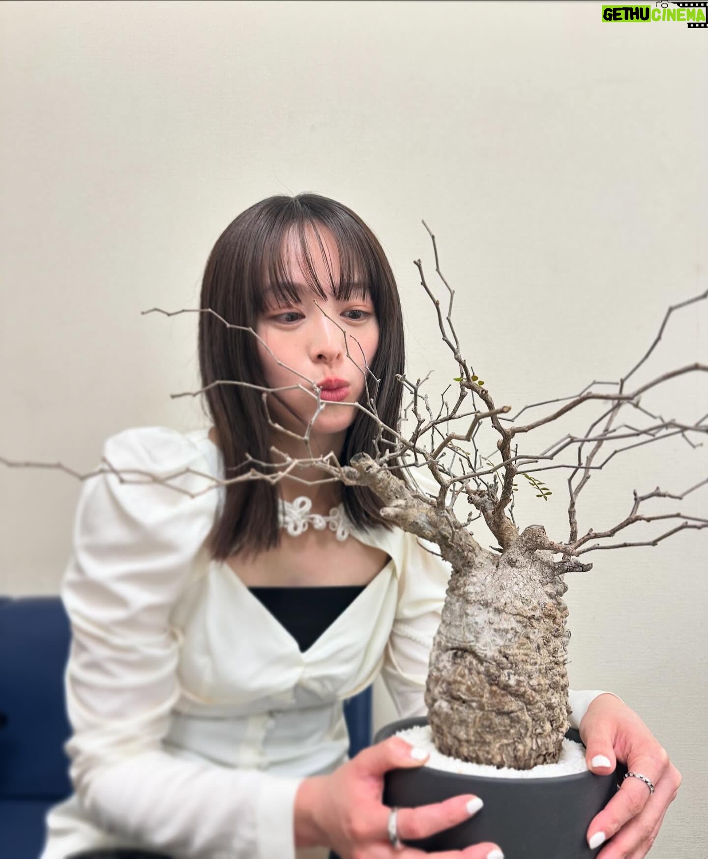 Nana Seino | Gethu Cinema