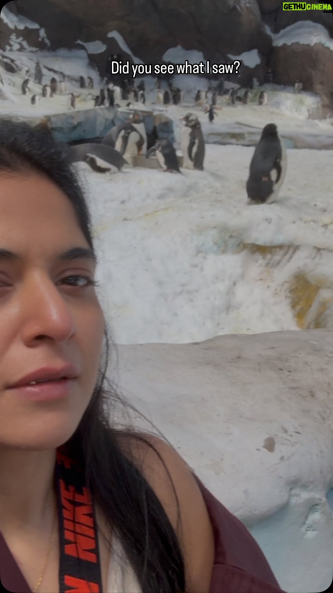 Actress Anshul Chauhan HD Photos and Wallpapers March 2025 | Gethu Cinema