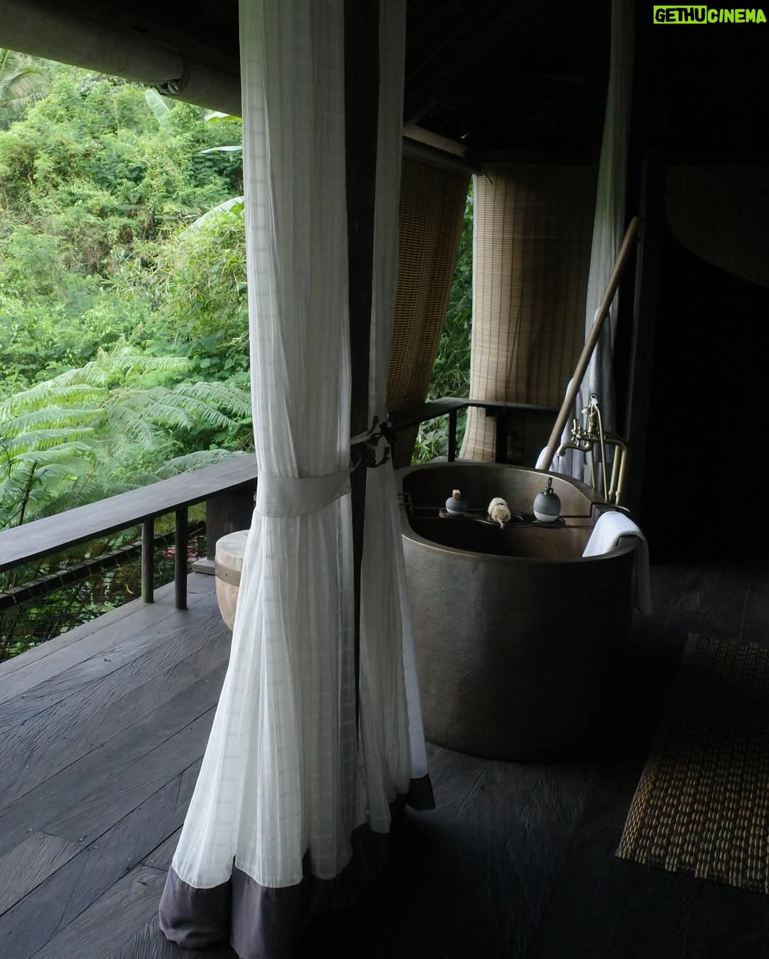 Actress Carissa Springett HD Photos and Wallpapers March 2025 | Gethu ...