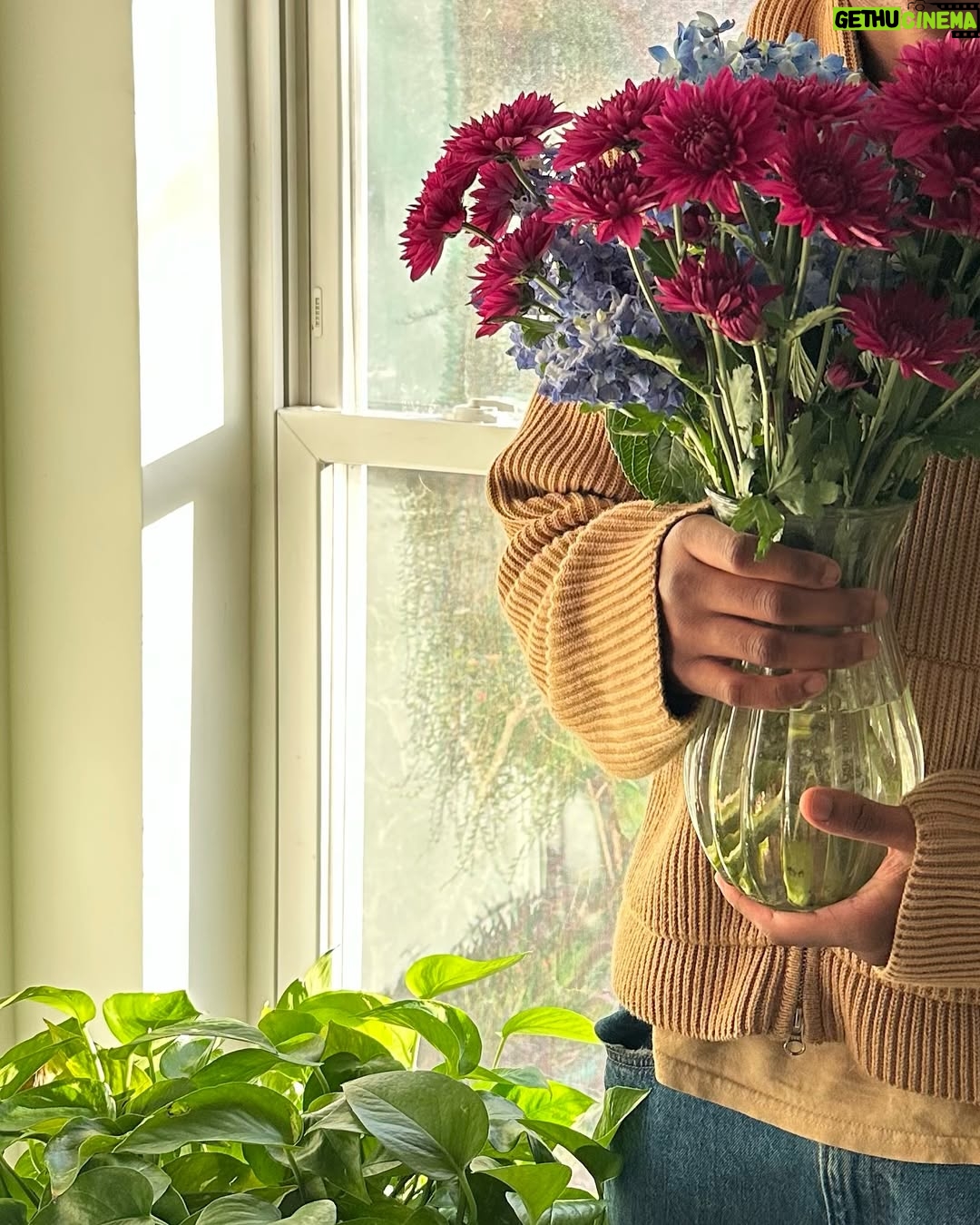 Emily Tosta | Gethu Cinema