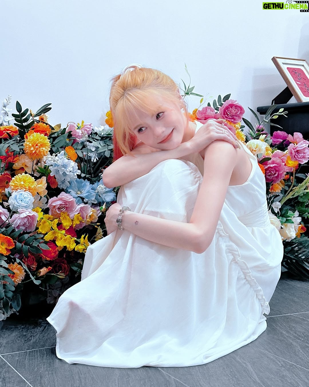 Actress Hayley Woo HD Photos and Wallpapers February 2025 | Gethu Cinema