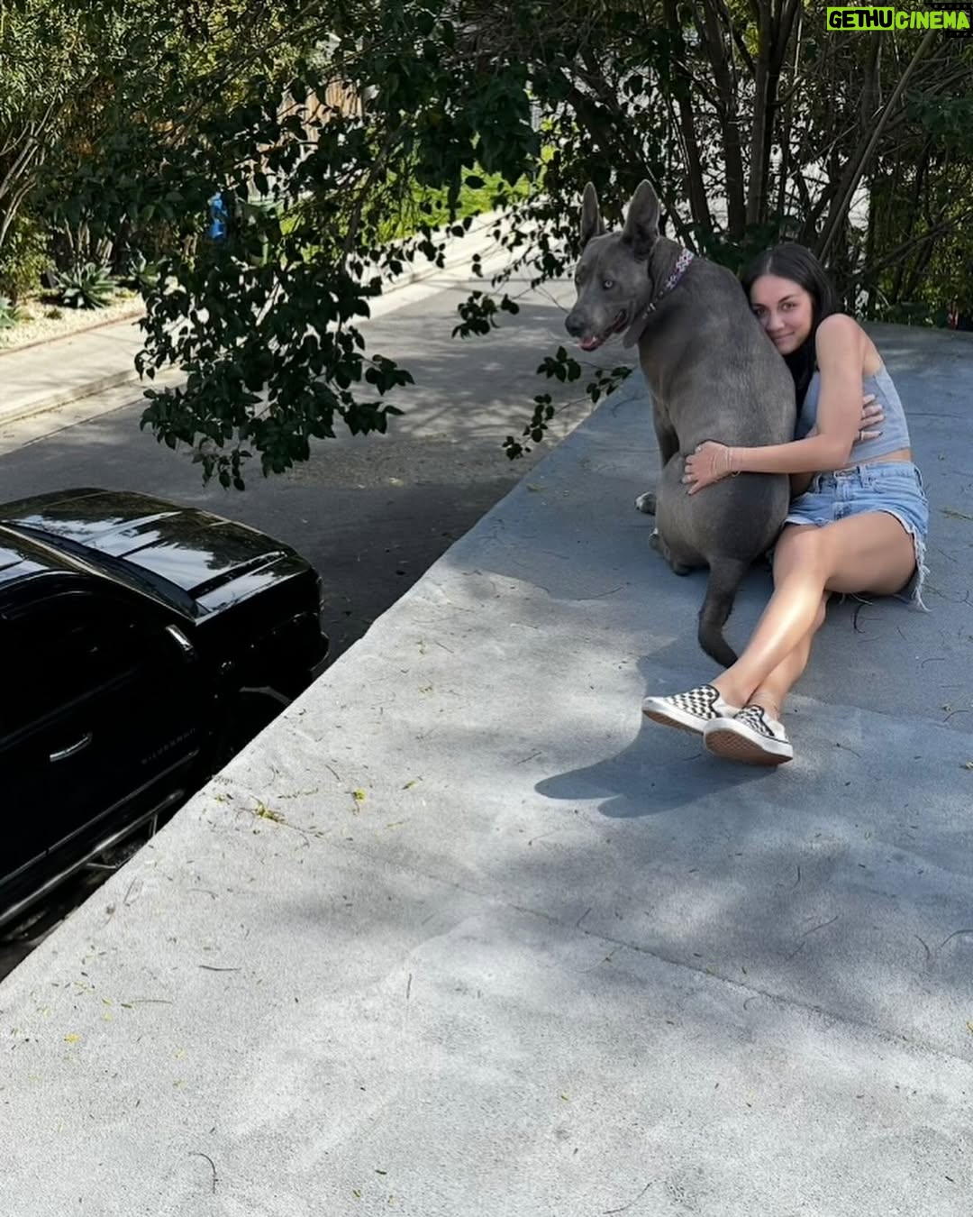 Actress Meg DeLacy HD Photos and Wallpapers March 2025 | Gethu Cinema