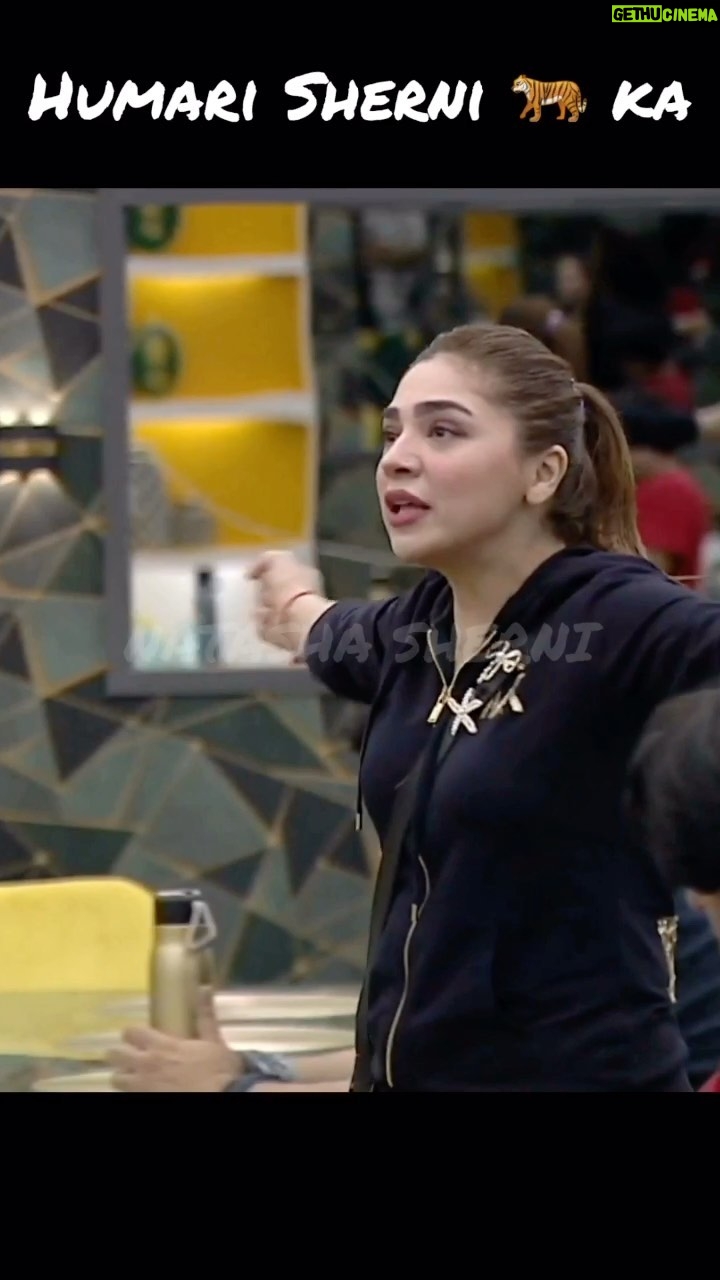 Actress Natasha Ali HD Photos and Wallpapers September 2023 | Gethu Cinema