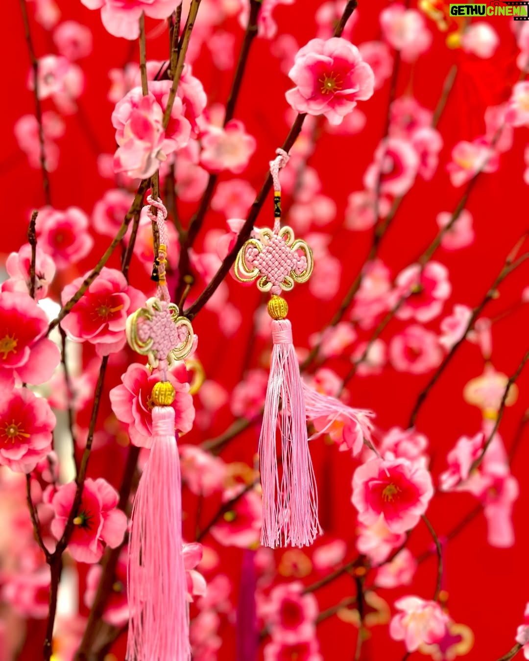 Actress Sharon Chan Man-Chi HD Photos and Wallpapers January 2025 ...