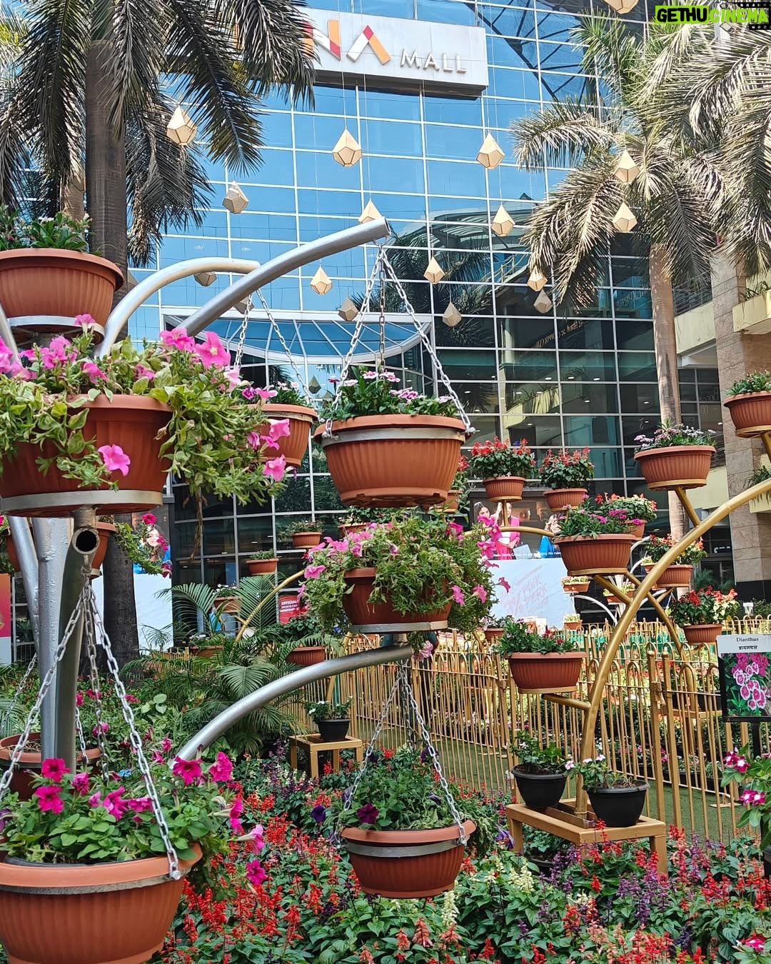 Suzanne Bernert | Gethu Cinema