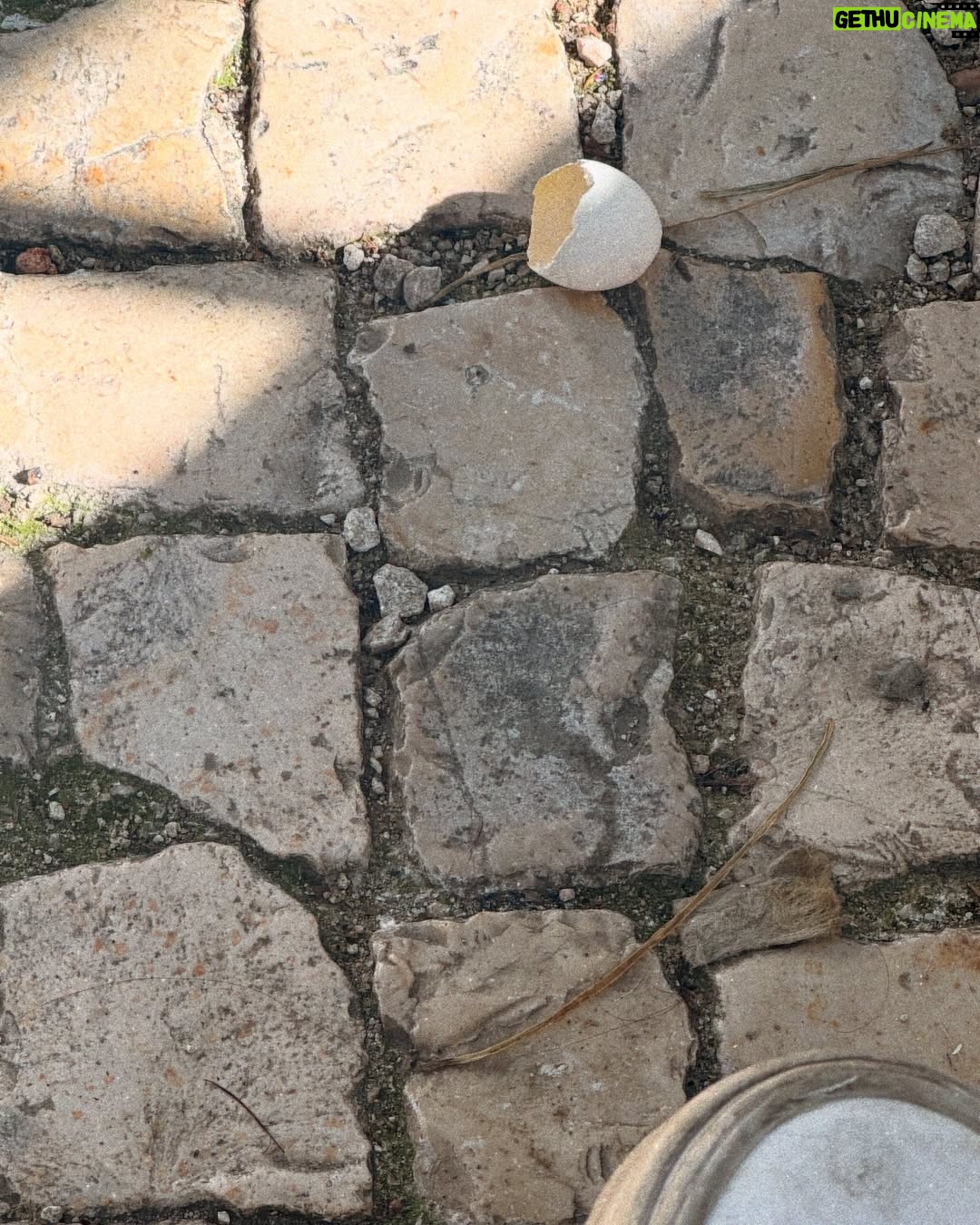 Actress Telma Monteiro HD Photos and Wallpapers February 2025 | Gethu ...