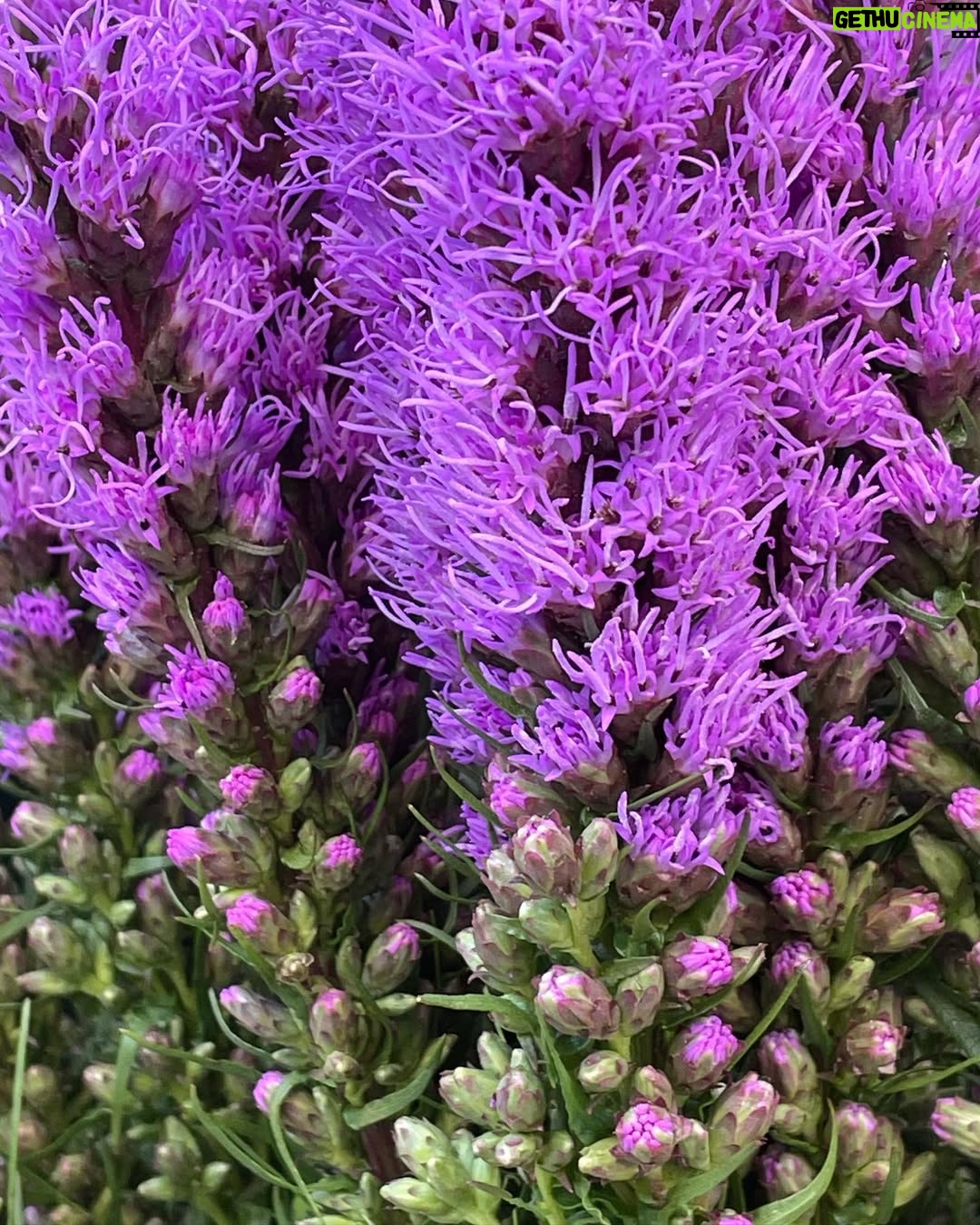 Actress Yam Concepcion HD Photos and Wallpapers May 2022 | Gethu Cinema