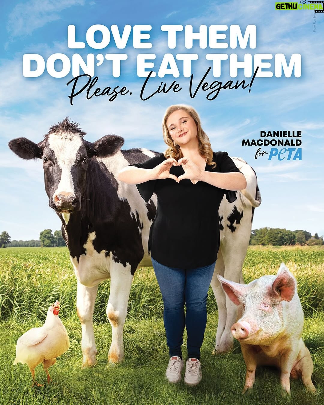 Danielle Macdonald Wiki, Biography, Age, Gallery, Spouse and more