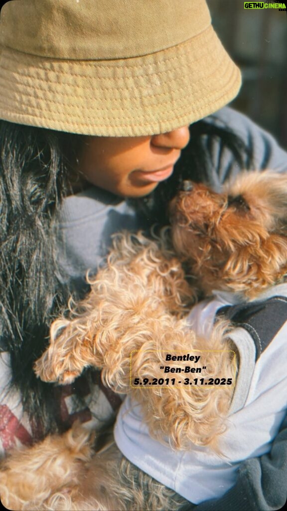 Actress Dominique Perry HD Photos and Wallpapers November 2025 | Gethu ...