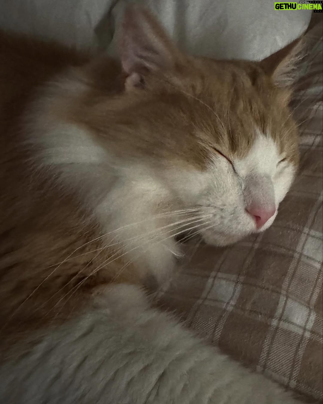 Actress Ha Yeong HD Photos and Wallpapers April 2025 | Gethu Cinema