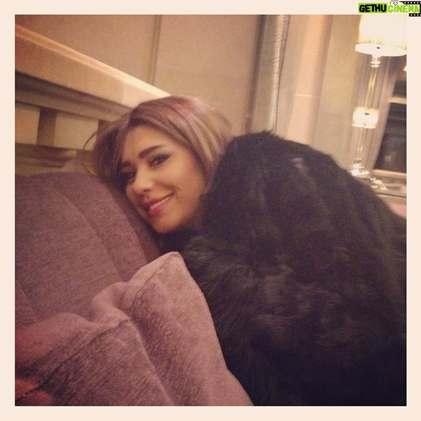Actress Hoda Saad HD Photos and Wallpapers February 2013 | Gethu Cinema