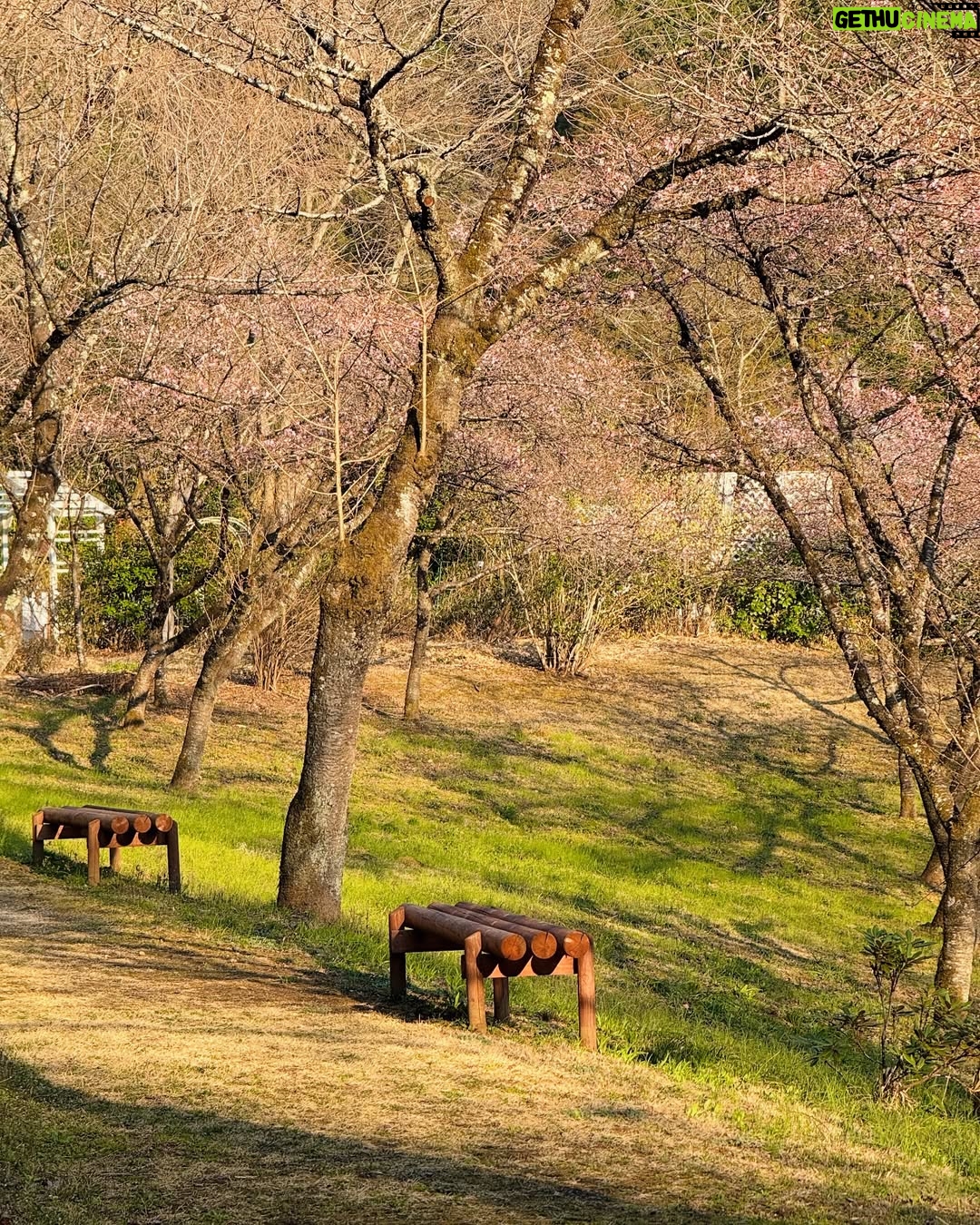 Actress Ron Monroe HD Photos and Wallpapers March 2025 | Gethu Cinema