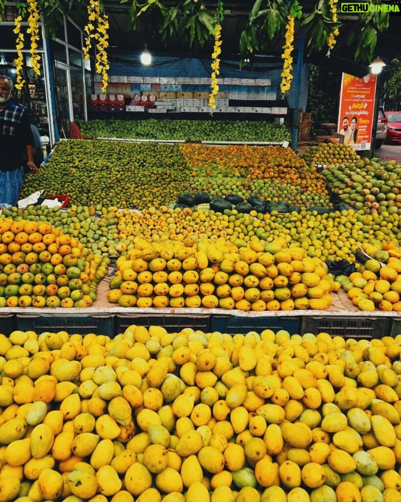 Actress Wafa Khadeeja Rahman HD Photos and Wallpapers December 2025 ...