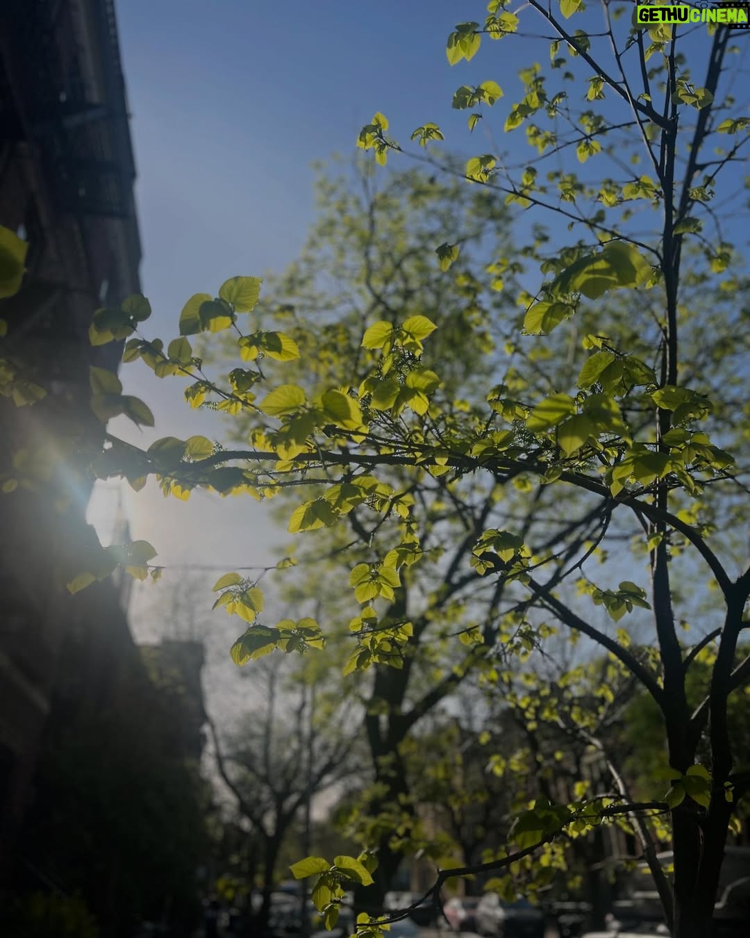 Amanda Fuller | Gethu Cinema