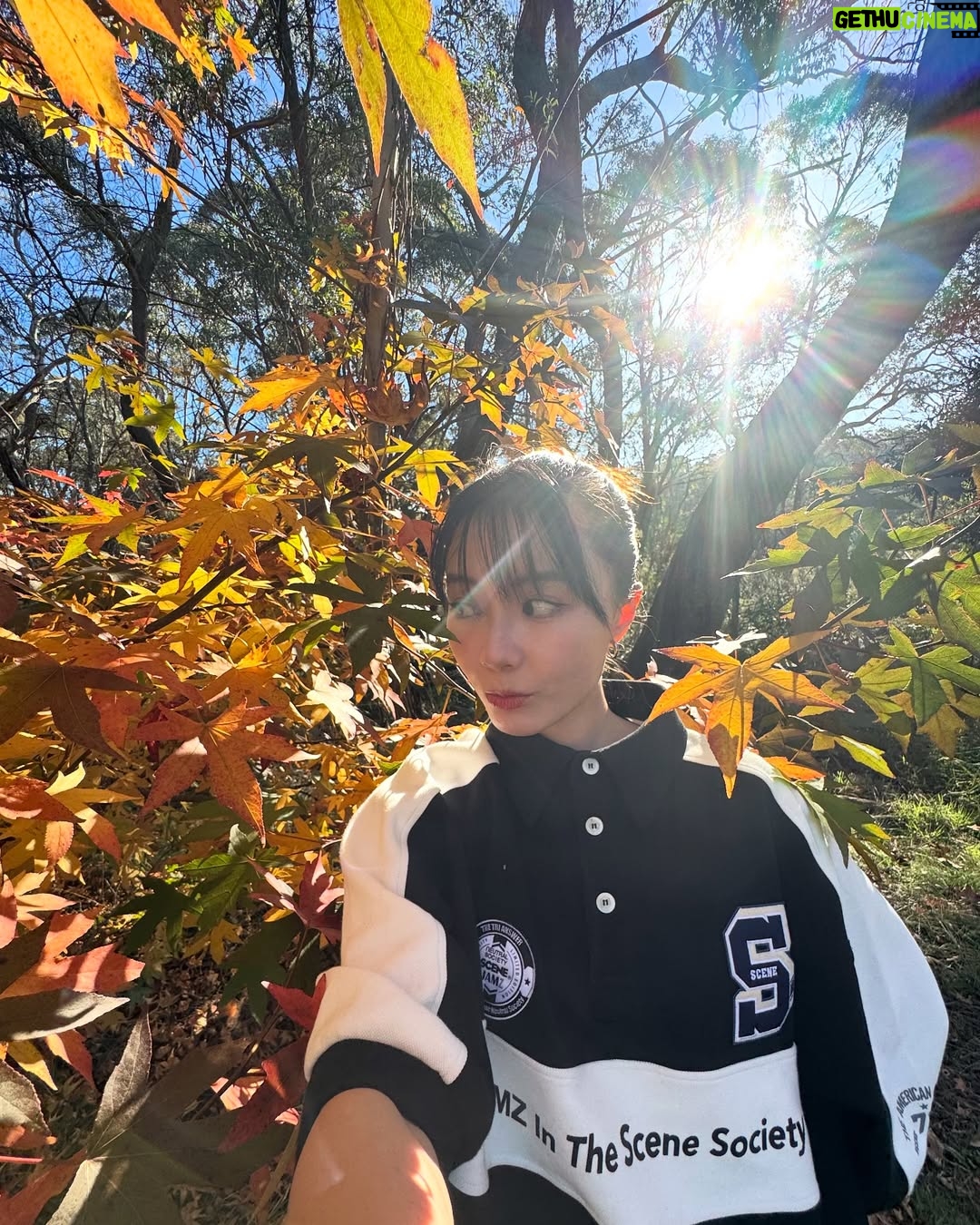 Actress Angel Lam Chin Ting HD Photos and Wallpapers April 2025 | Gethu ...