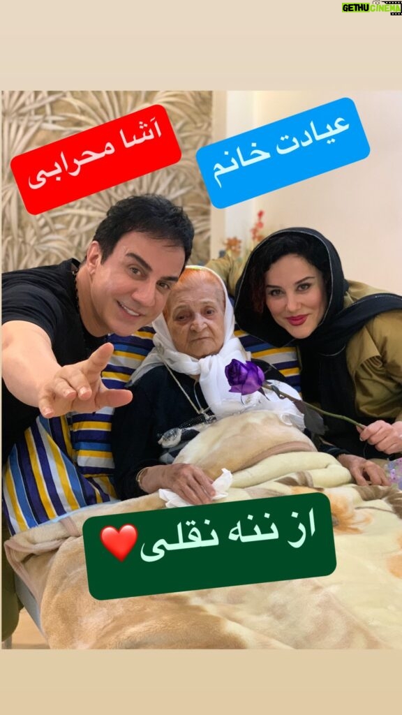 Actress Asha Mehrabi HD Photos and Wallpapers April 2025 | Gethu Cinema