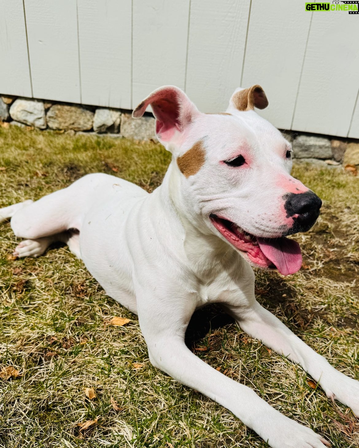 Georgina Bloomberg | Gethu Cinema