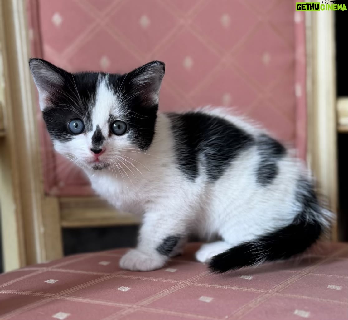 Katy O’Brian | Gethu Cinema