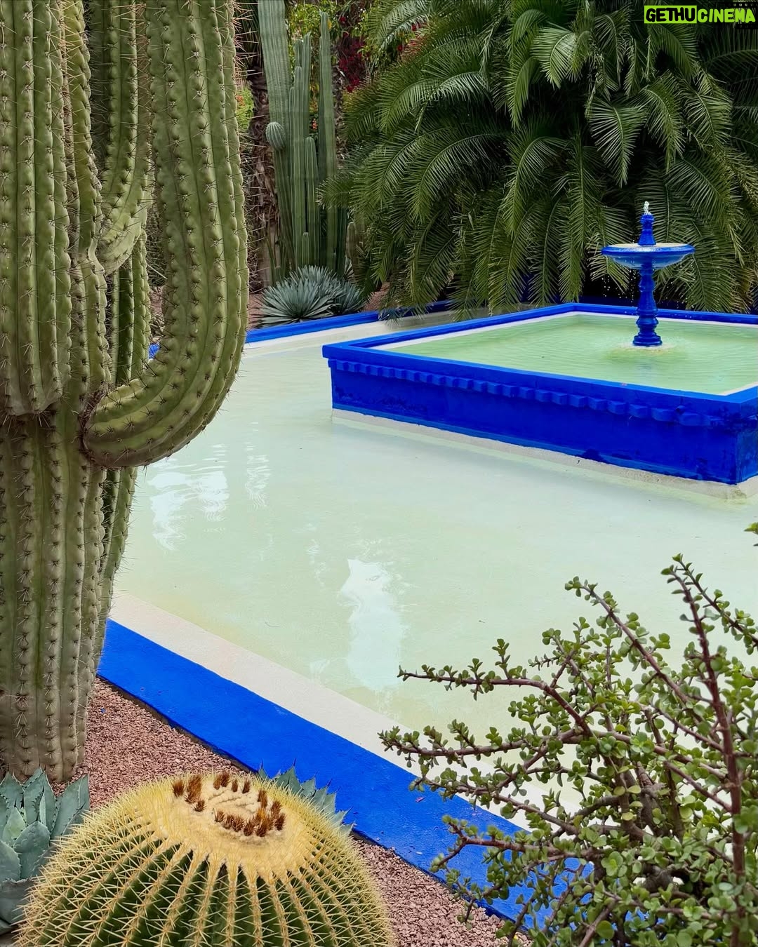 Sofya Ernst | Gethu Cinema