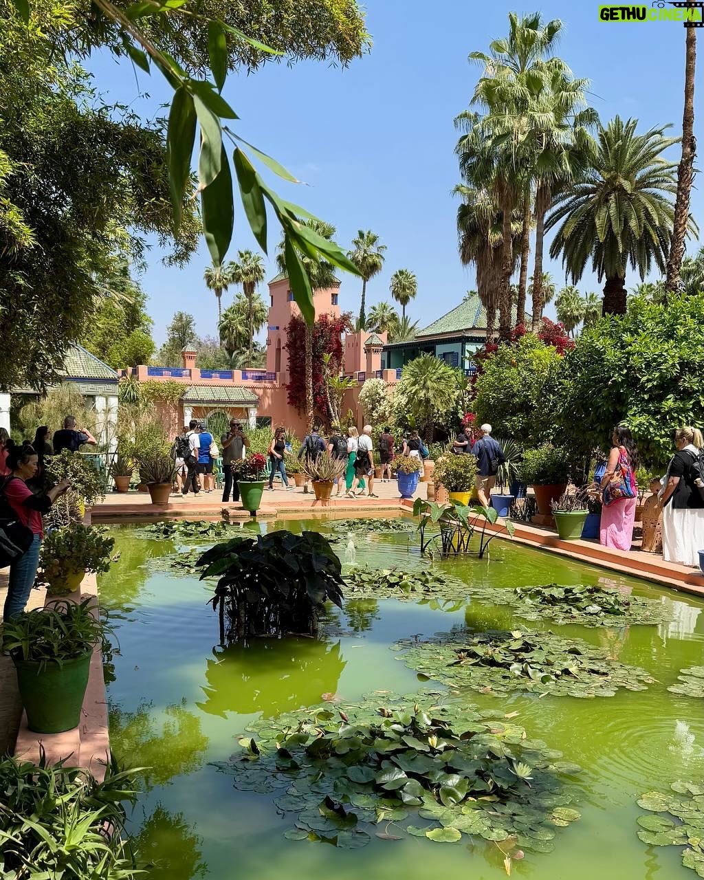 Sofya Ernst | Gethu Cinema