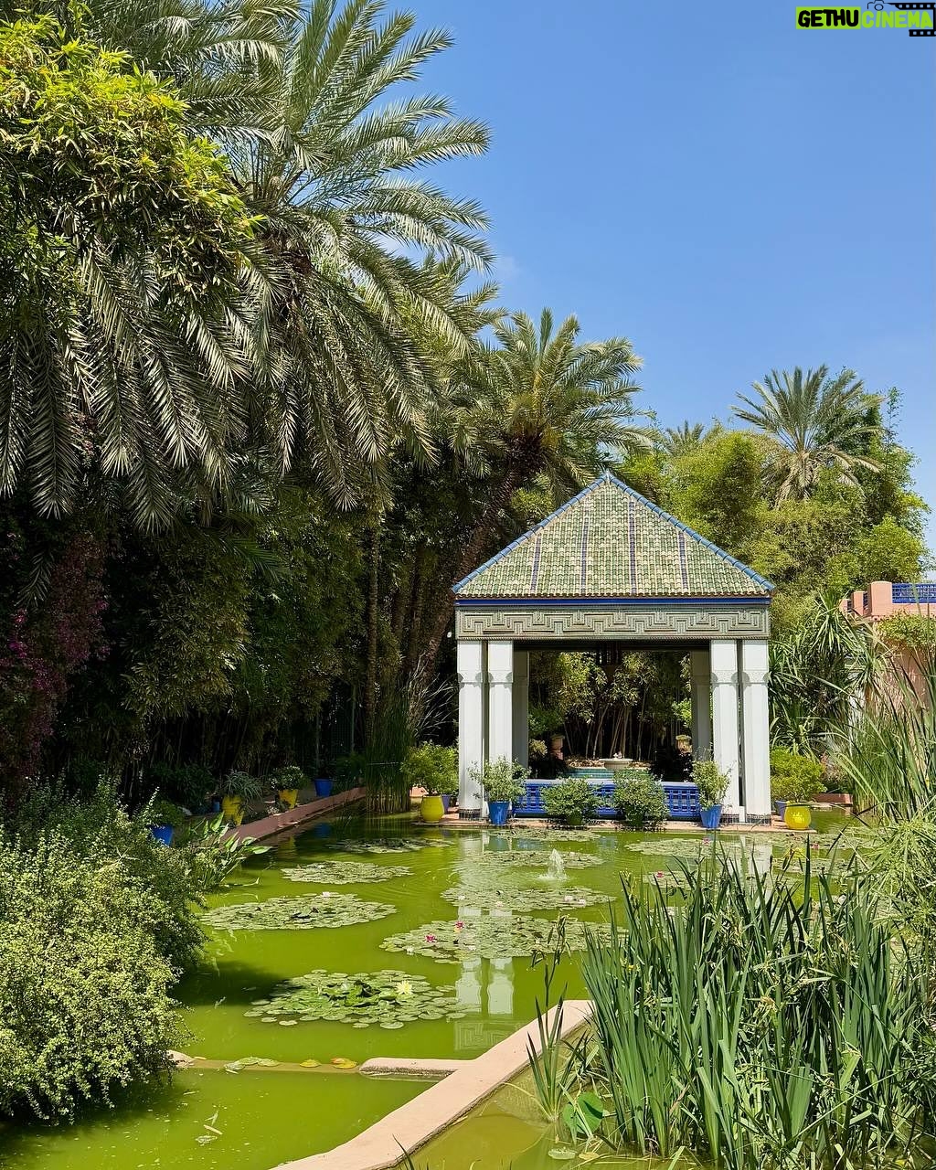 Sofya Ernst | Gethu Cinema