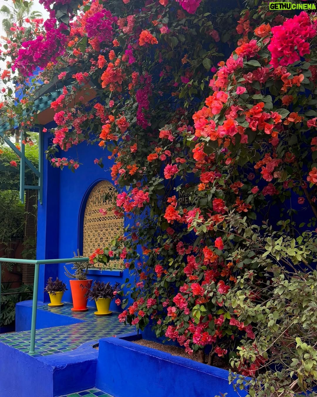 Sofya Ernst | Gethu Cinema