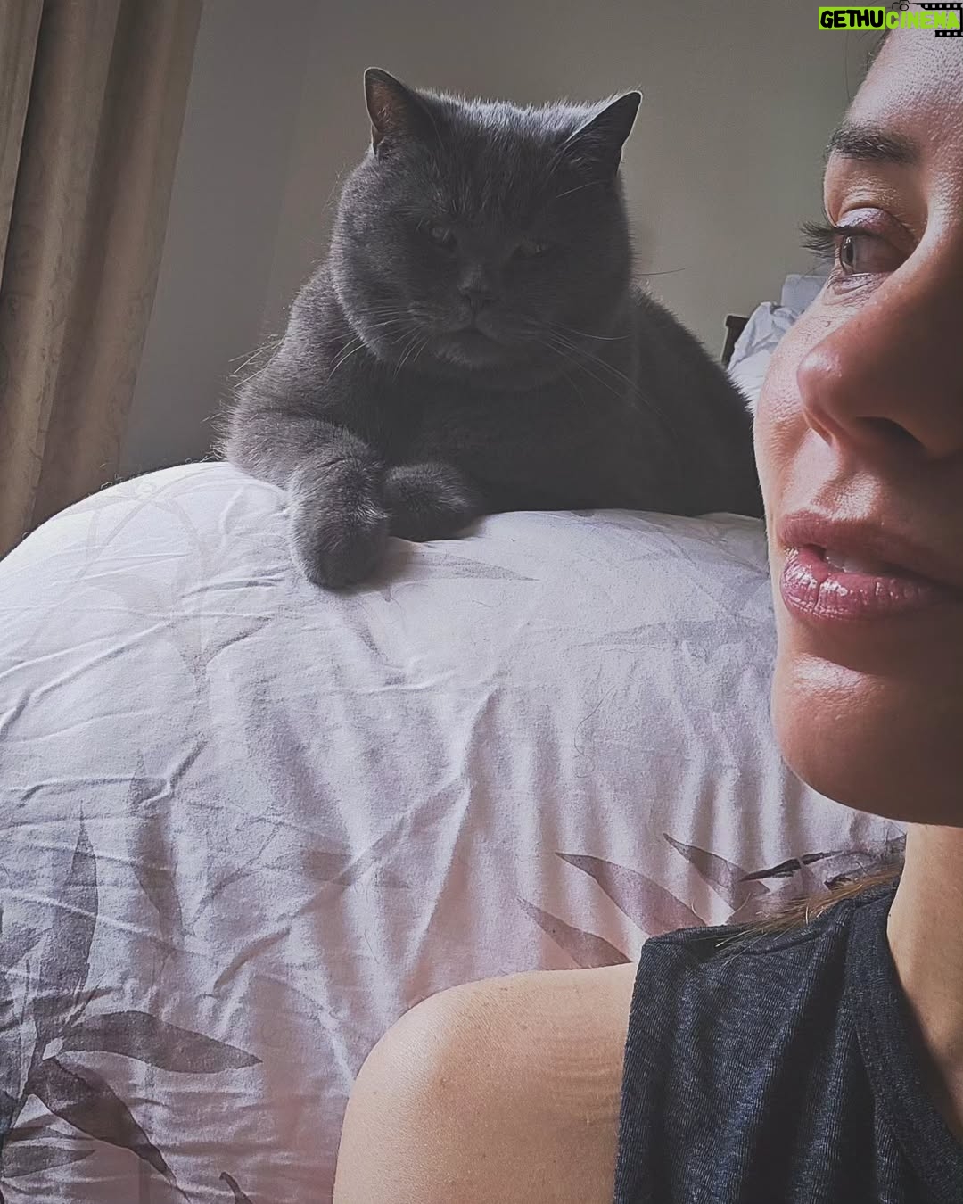 Stephanie Bendixsen | Gethu Cinema