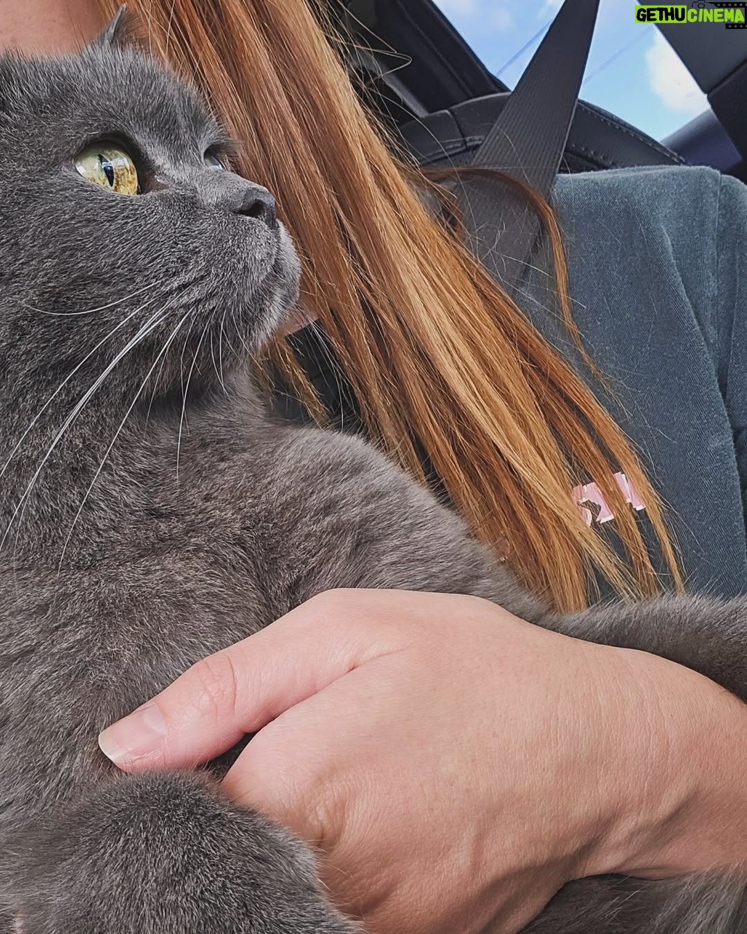 Stephanie Bendixsen | Gethu Cinema