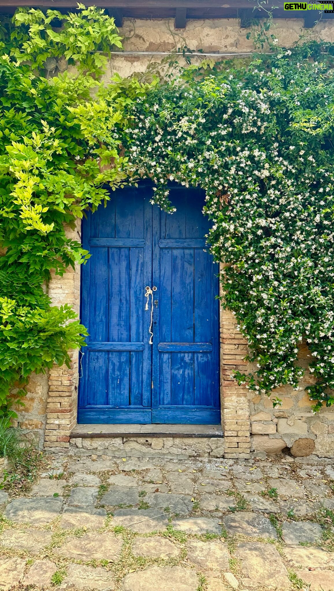 Tembi Locke | Gethu Cinema