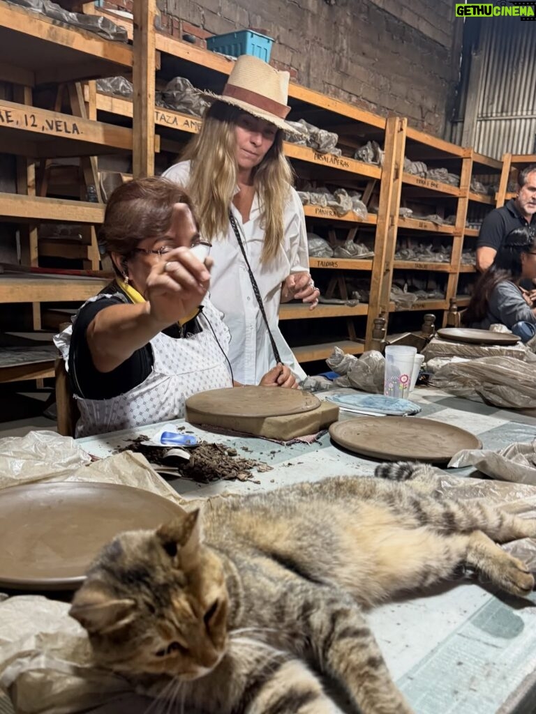 Dominika Paleta | Gethu Cinema