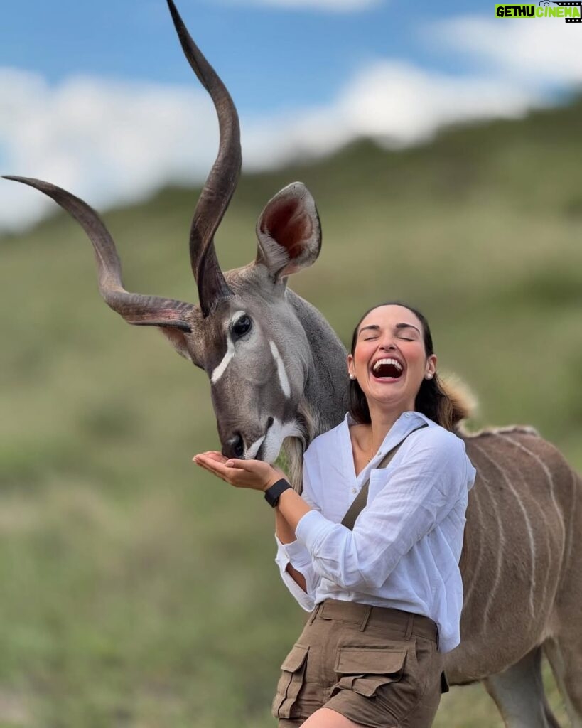 Actress Fefi Oliveira HD Photos and Wallpapers August 2025 | Gethu Cinema