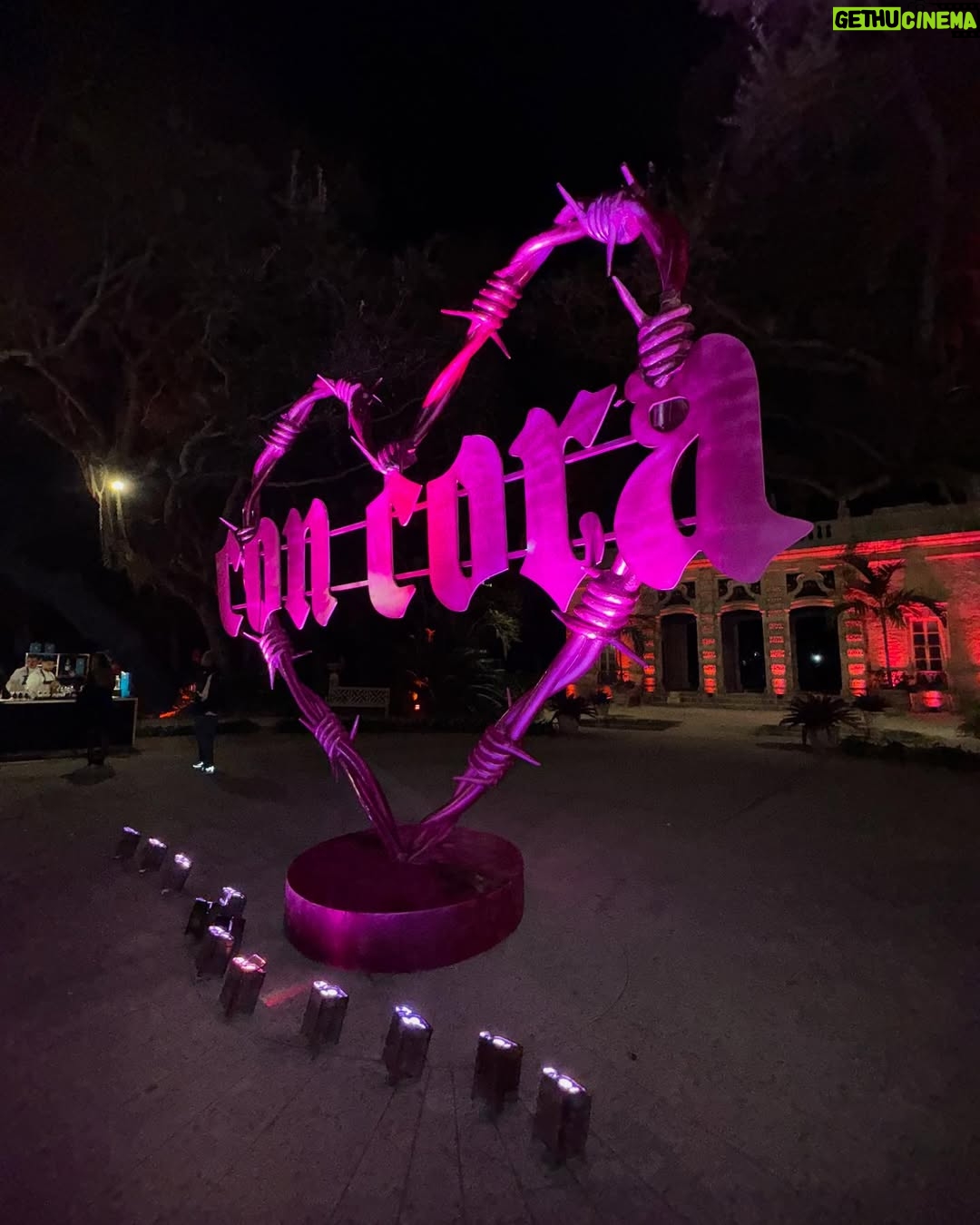 Actress Fefi Oliveira HD Photos and Wallpapers February 2025 | Gethu Cinema