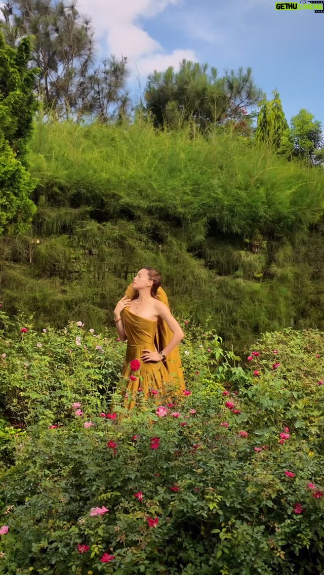 Actress Ho Ngoc Ha HD Photos and Wallpapers August 2025 | Gethu Cinema