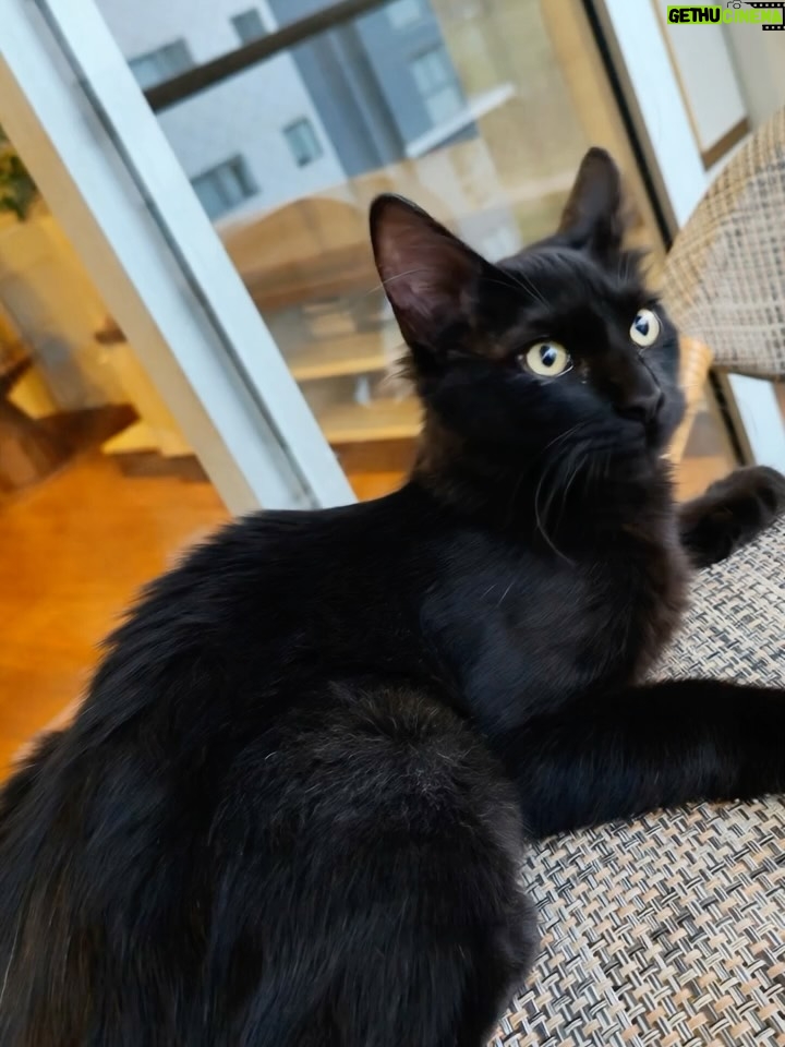 Laura Spoya | Gethu Cinema